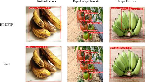 Frontiers Improved Rt Detr And Its Application To Fruit Ripeness