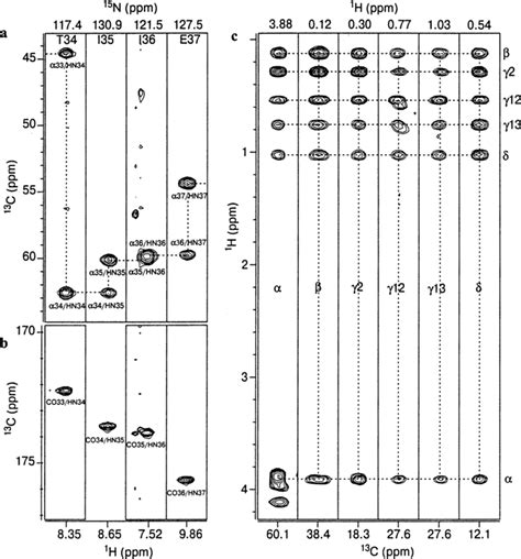 A Strip Plot Illustrating The Procedure Of The Sequence Specific Download Scientific Diagram