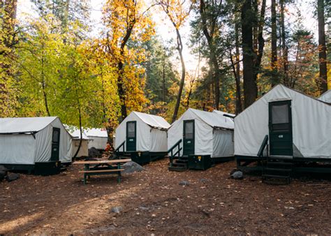 Staying At Curry Village Tent Cabins In Yosemite