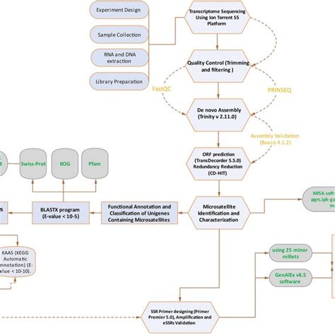 Transcriptome Completeness As Determined By Benchmarking Universal