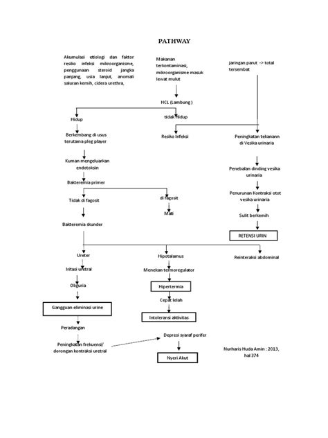 Epidemiologi Dan Patofisiologi Infeksi Saluran Kemih Akibat E Coli Pdf