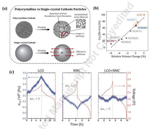 A Schematic Illustration Of The Underlying Differences Between Download Scientific Diagram