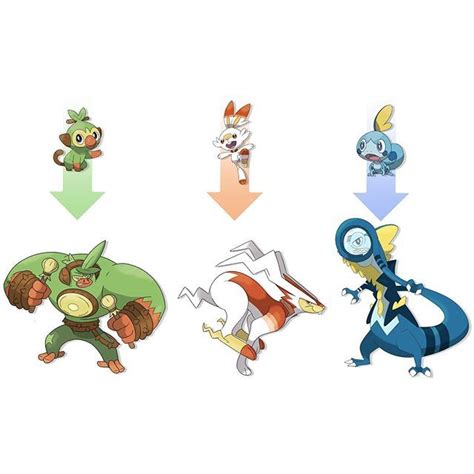 Pokemon Starters Evolutions Gen 8