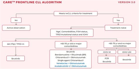 Figure 1 Care Guideline For Treatment Naive Patients With Cll Figure 1 Care Guideline For Treatment Naive Patients With Cll