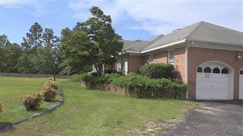 What Are Asian Needle Ants Potentially Deadly Ants Spreading In The Us