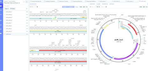 Starting An Open Synbio Project On Benchling For Learning The Basics R Diybio