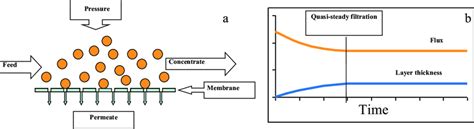 A Principle Of Cross Flow Microfiltration And B Representation Of Download Scientific
