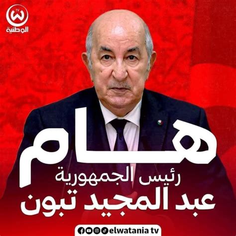 Sun Soft Bouchentoufdjelloul • Instagram Photos And Videos