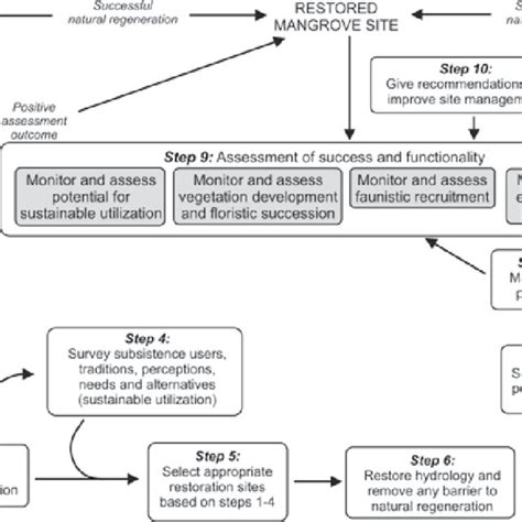 Pdf Mangrove Ecosystems A Global Biogeographic Perspective Structure Function And Services