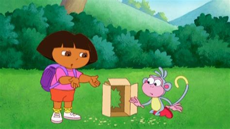 Dora The Explorer Rapido Tico Livedash