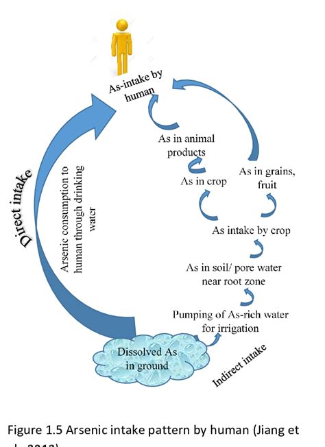 6 Arsenic Poisoning Situation In Bangladesh Download Scientific Diagram