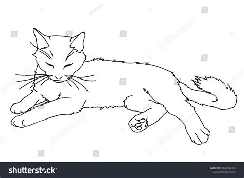 Cat Lying Down Drawing
