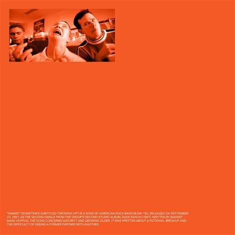 Manuel Brada® Dammit Cover