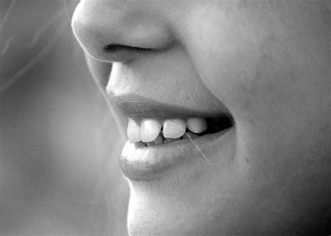 Ppo Vs Dmo Which Dental Plan Is Right For You