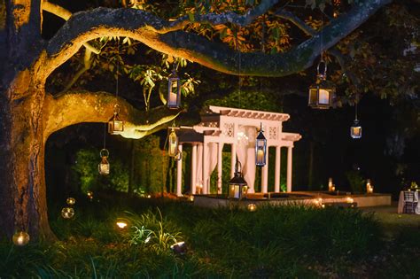 Silver Lanterns Loluma