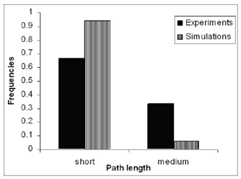 frequency distributions of the lengths of the paths chosen by the ants