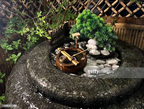 Pebbles Model Photos And Premium High Res Pictures Getty Images