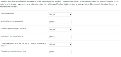Solved There Are Basic Characteristics That All Vertebrae