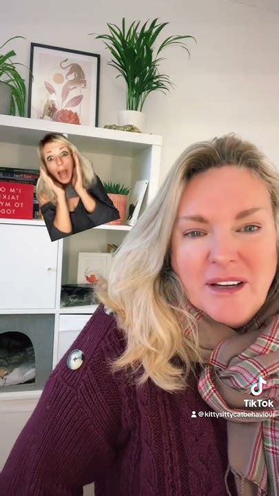 Catbehavior101 Catchat Catbehaviorist Tiktokcats Happyfelines