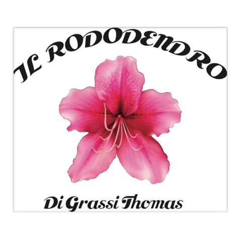 Il Rododendro Di Thomas Grassi Cinquale