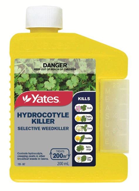 How To Get Rid Of Oxalis Kings Plant Doctor