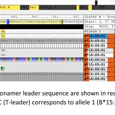 Alloseq Assign Software Analysis View For Hla‐b Leader Peptides Exon 1