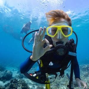 Dreaming Of A Scuba Diving Holiday Start With This Daily Live Dive