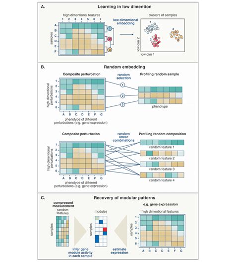 Conceptual Framework For Random And Composite Experiments Download Scientific Diagram