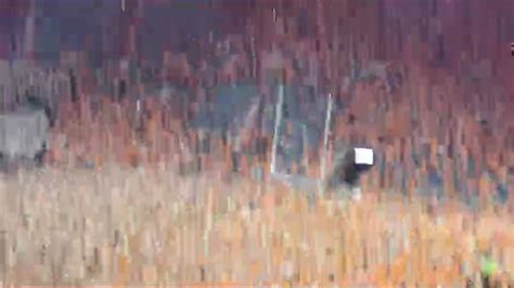 Govols Anthony Pinelli