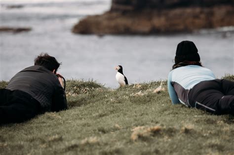 Isle Of Lunga A Taste Of The Wild London And The World