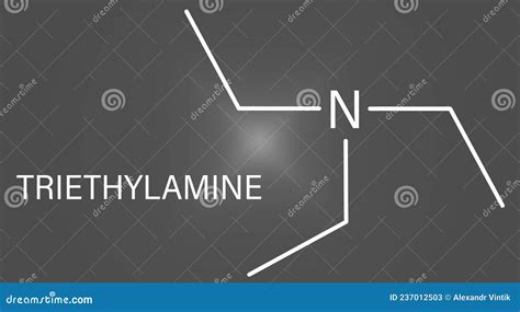 Triethylamine Organic Base Molecule Skeletal Formula Stock Vector
