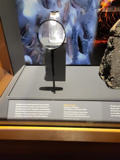 Ice Worm By Xela The Conqueror On Deviantart