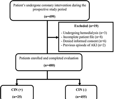 Flow Chart Of The Study Process Cag Coronary Angiogram Download