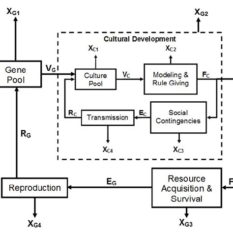 The Genetic Evolutionary Process With The Nested Cultural Evolutionary