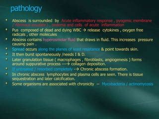 Abscess Pptx