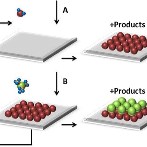A Schematic Side View Of An Encapsulated Oled With Traditional Download Scientific Diagram