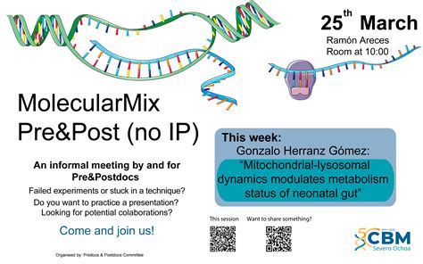 Mitochondrial Lysosomal Dynamics Modulates Metabolism Centro De