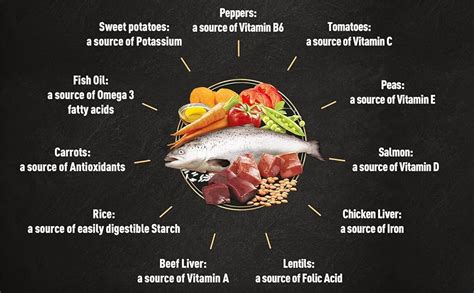 Cesar Adult Dry Dog Food With Fresh Chicken Salmon And Vegetables 7 Kg
