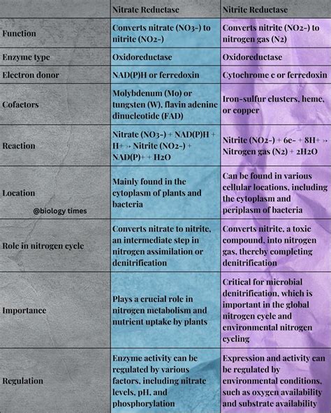 Nitrate Reductase Vs Nitrite Reductase