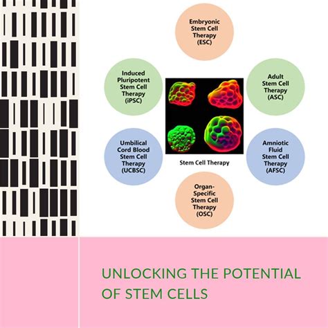 Stem Cell Therapies And Applications Jack Jie Huang Md Phd Posted