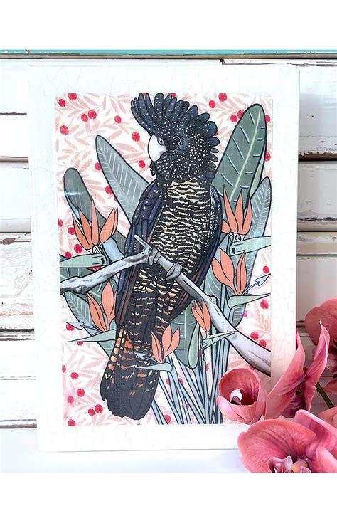 Maxi Woodblock Red Tailed Black Cockatoo The Dancing Pixie