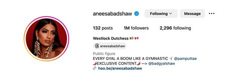 Interview Aneesa Badshaw Confident Shell Hit In Dancehall From Canada