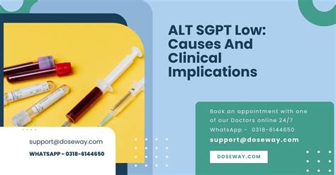 Alt Sgpt Low Causes And Clinical Implications Doseway