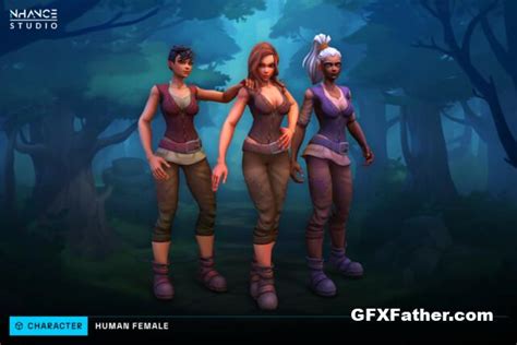 Unity Assets Modular Fantasy Stylized Human Female Gfxfather
