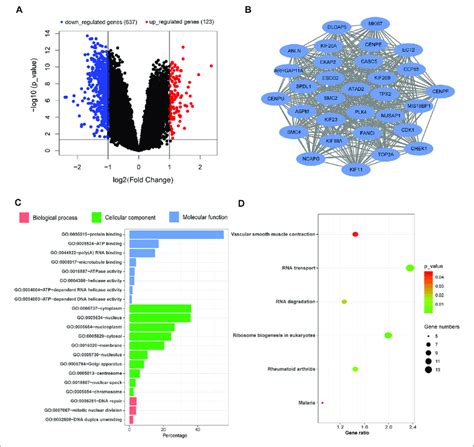 Analysis Of The Gene Expression Profile Dataset Related To Pulmonary