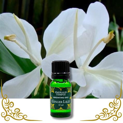 Ginger Lily The Breath Of Aloha Emerald Temple