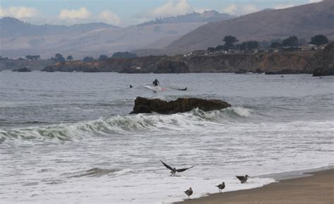 North Salmon Creek Beach In Bodega Bay Ca California Beaches
