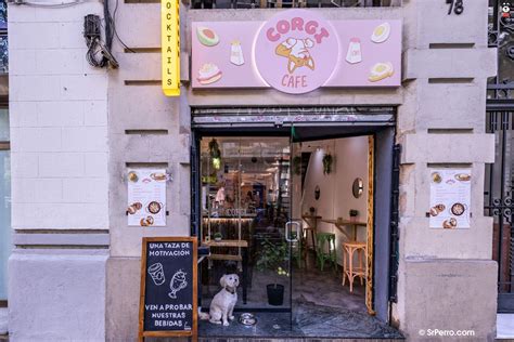 Corgi Café