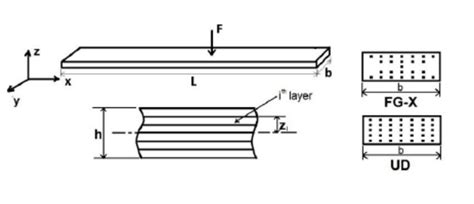 Uniform And Fg X Functionally Graded Beam Download Scientific Diagram