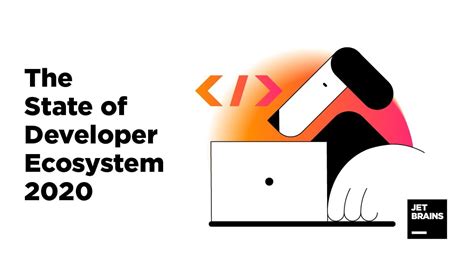 The State Of Developer Ecosystem In 2020 Infographic Rprogrammer